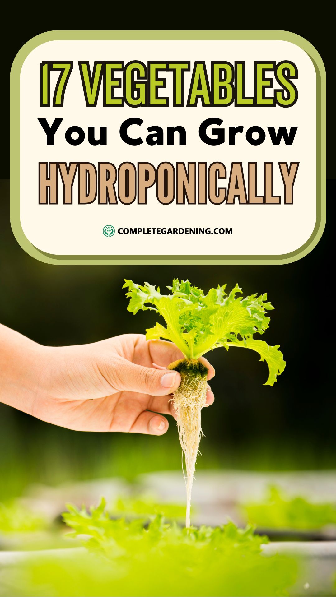 17 Vegetables You Can Grow Hydroponically - Complete Gardening