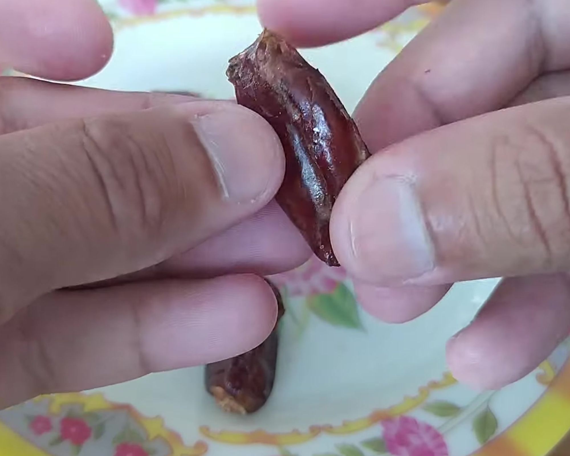 10 Must-Know Tips for Growing a Date Palm Tree from Seed at Home ...