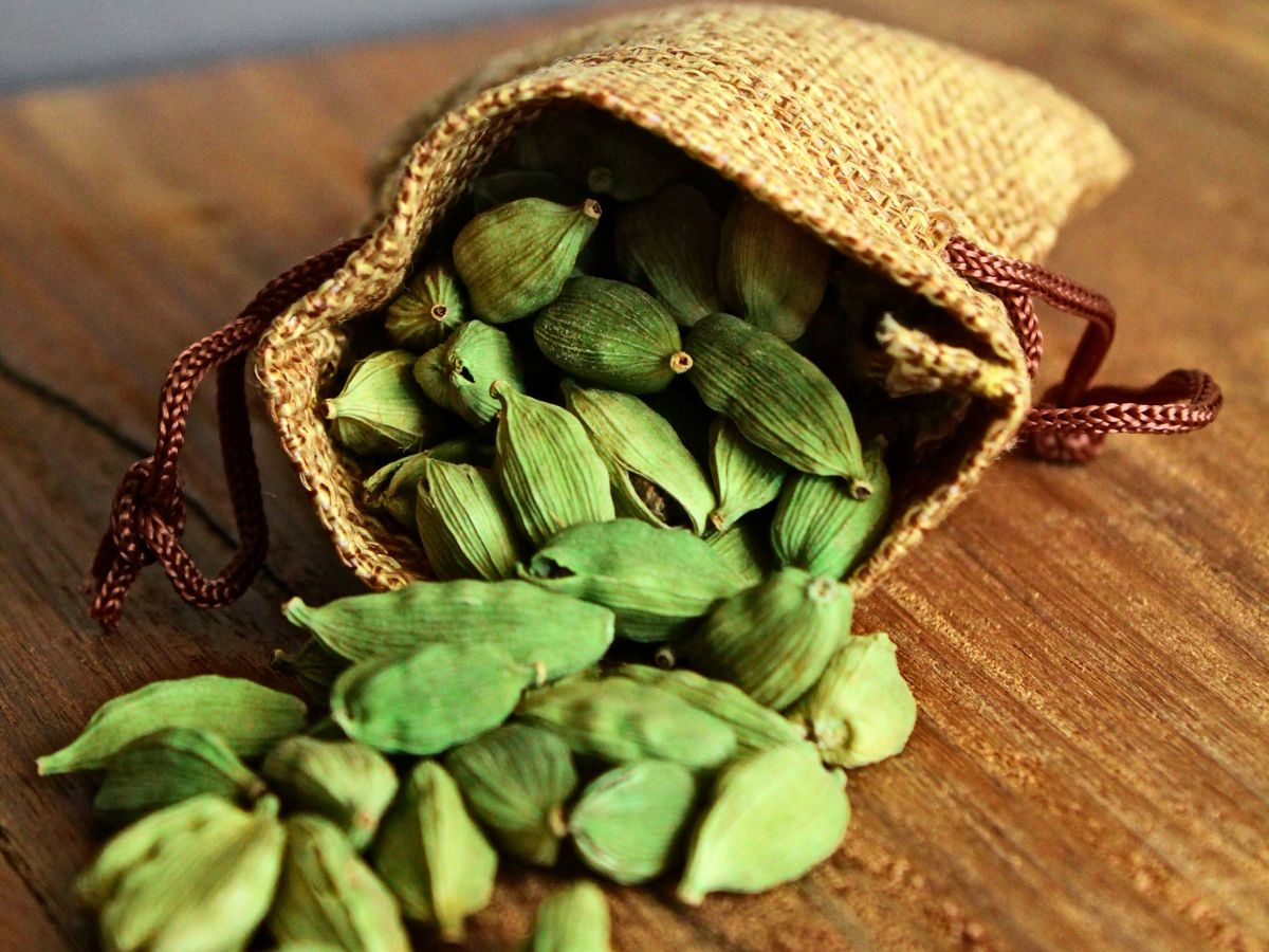 5 Easy Steps to Grow Cardamom at Home in Pots - Complete Gardening