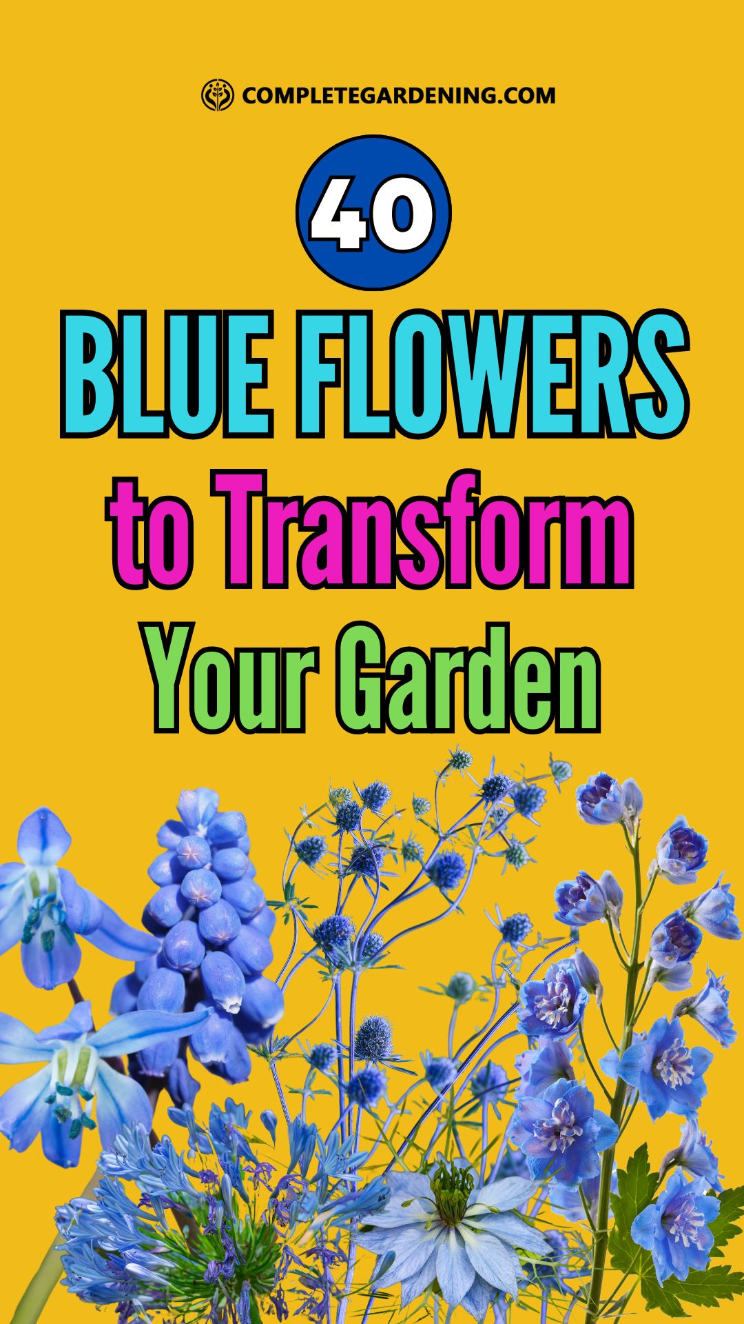 Azure Beauties: 40 Blue Flowers to Transform Your Garden - Complete ...