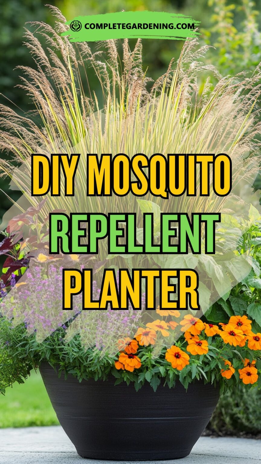 Creating a Mosquito-Free Zone: DIY Mosquito Repellent Planter ...