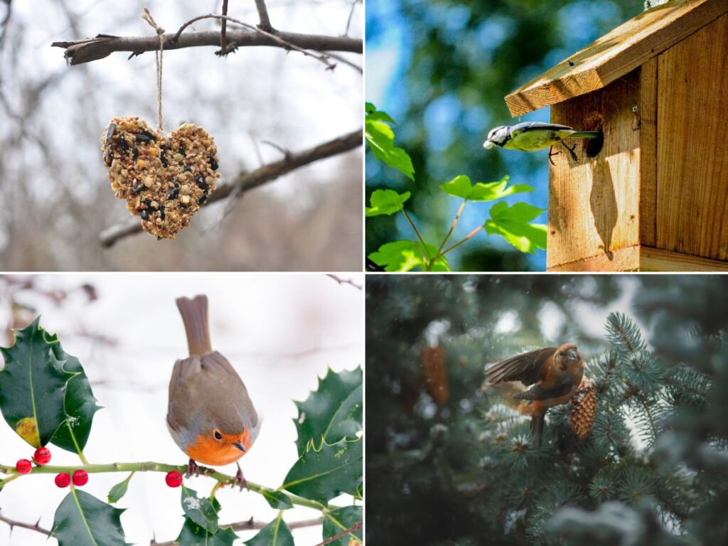 7 Expert Tips for Creating a Stunning Winter Garden Landscape ...