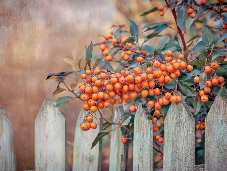 The Cold Weather Collection: 18 Must-Have Winter Shrubs - Complete ...