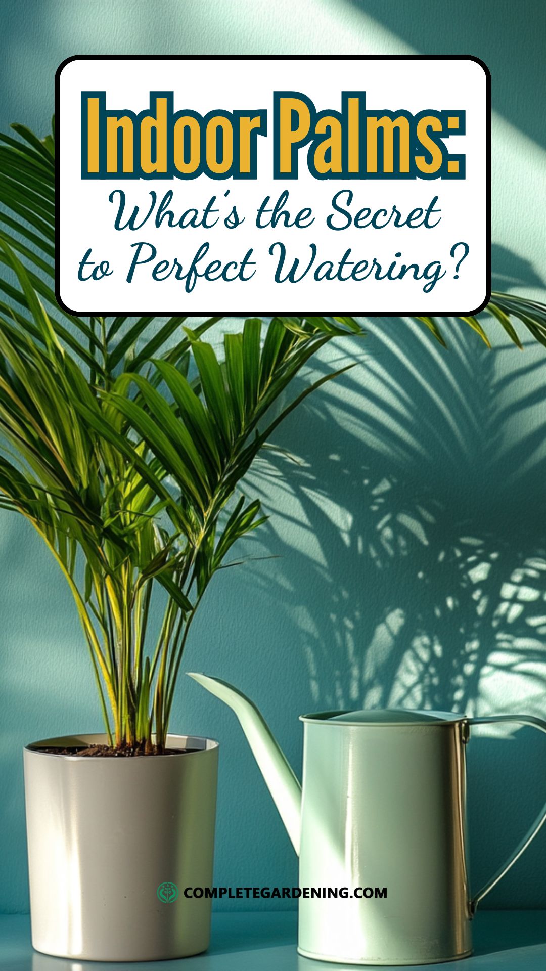 Indoor Palms: What’s the Secret to Perfect Watering? - Complete Gardening