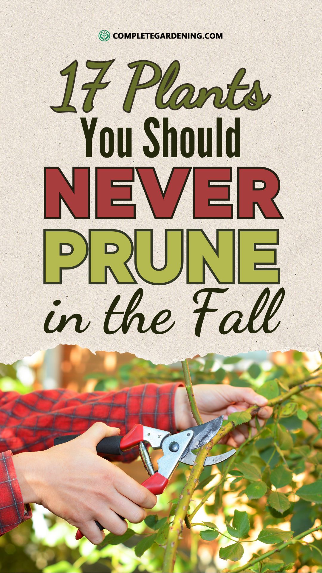 17 Plants You Should Never Prune in the Fall - Complete Gardening