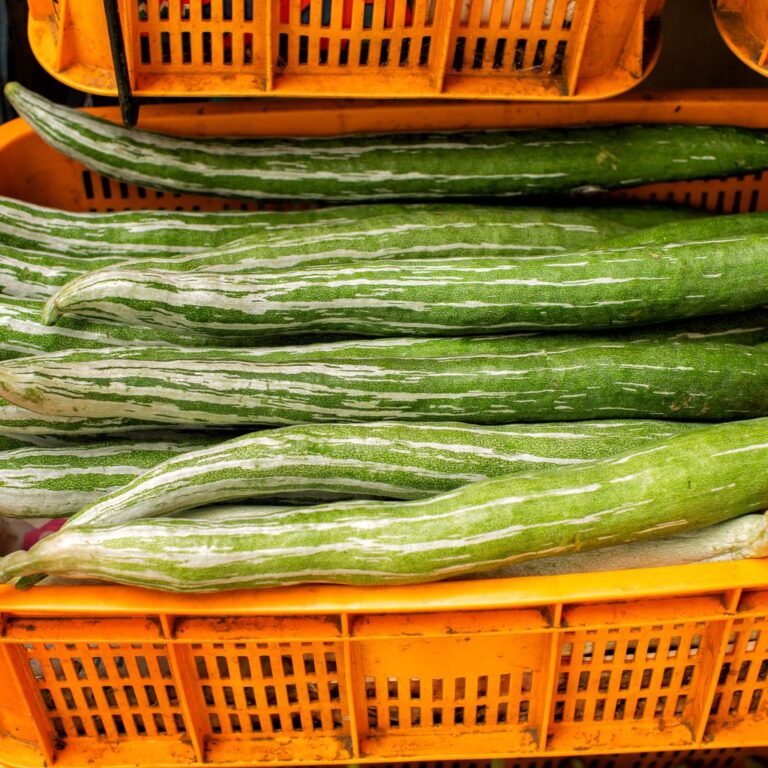Snake Gourd (Snake Beans): What It Is, How It Tastes, and Why You ...