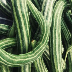 Snake Gourd (Snake Beans): What It Is, How It Tastes, and Why You ...