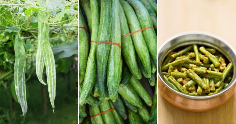 Snake Gourd (Snake Beans): What It Is, How It Tastes, and Why You ...