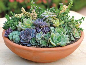 30 Stunning Succulent Container Arrangements to Transform Your Space ...