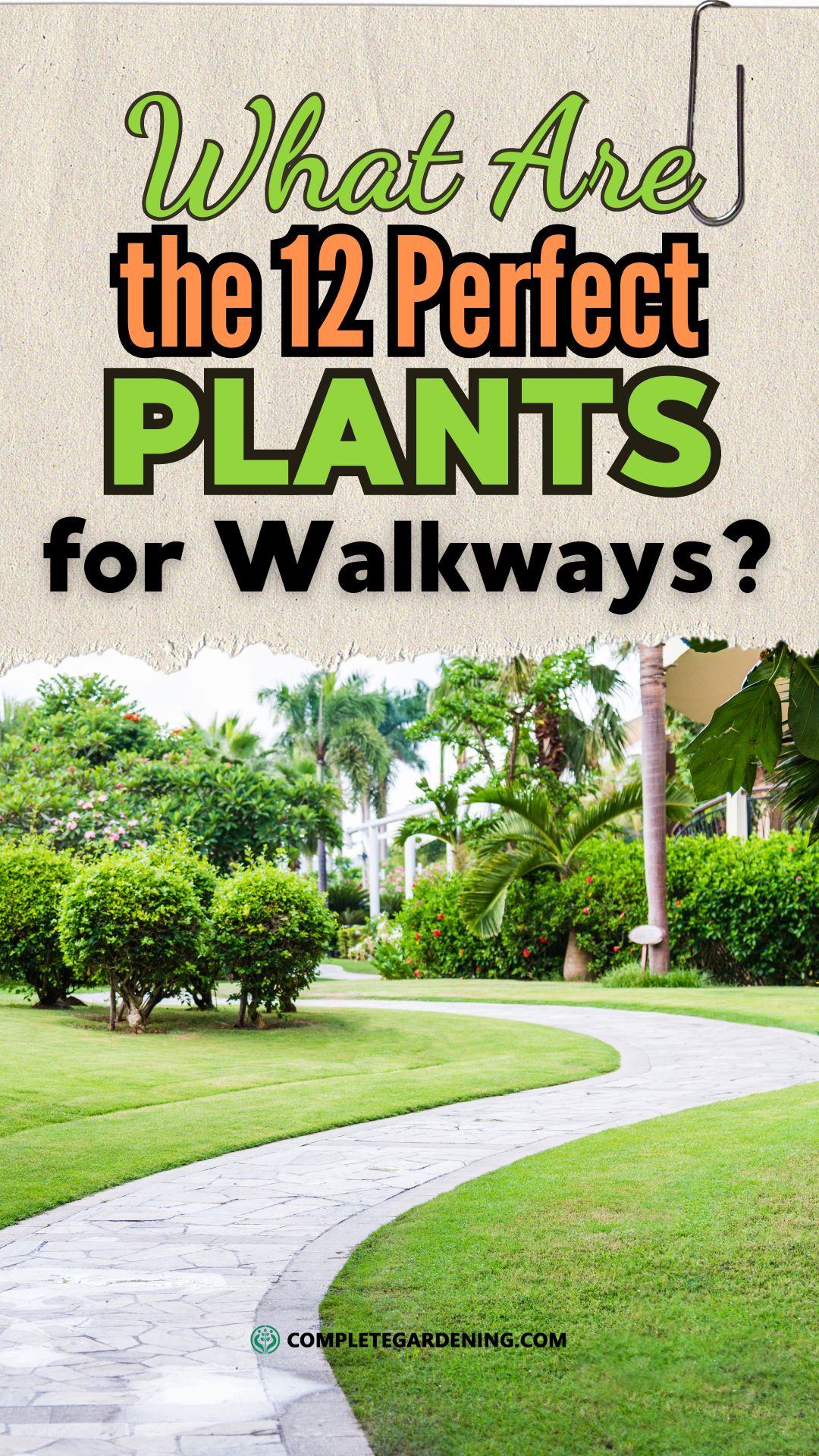 Want a Stunning Walkway? These 15 Perfect Plants Hold the Key ...