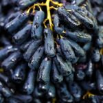 Sweet, Nutritious, and Versatile: What Makes Moon Drop Grapes Special ...