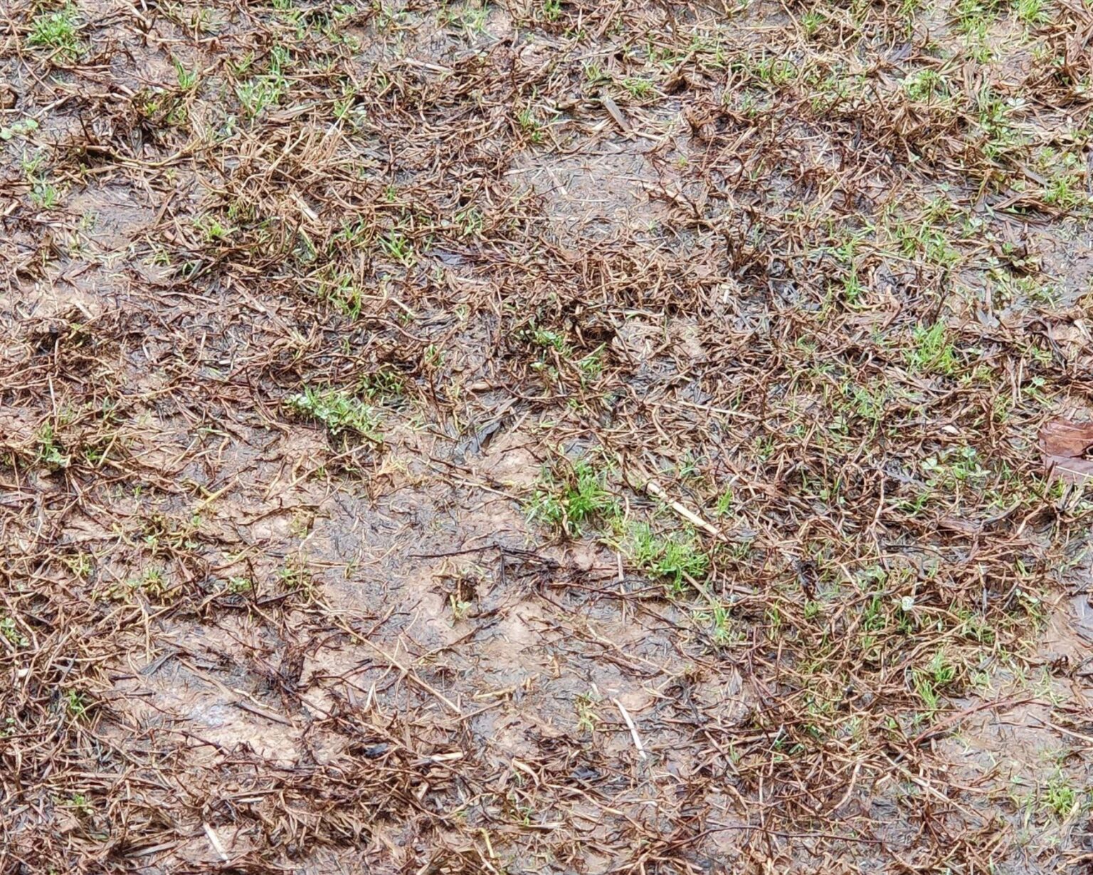 13 Ways to Prevent Soil Leaching - Complete Gardening