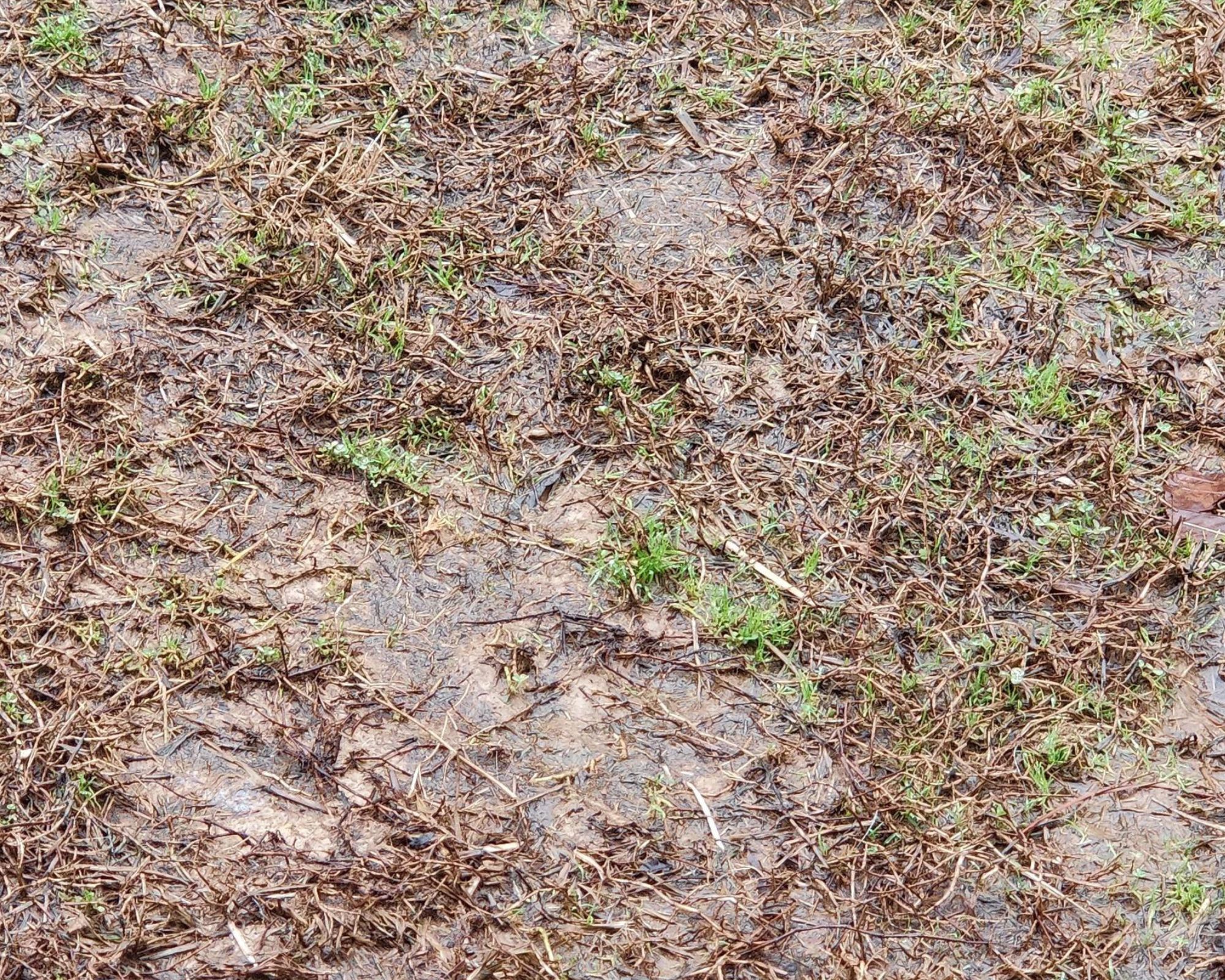 13 Ways to Prevent Soil Leaching - Complete Gardening