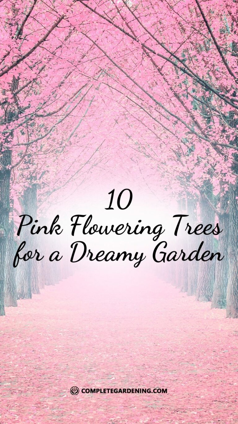 10 Pink Flowering Trees for a Dreamy Garden Full of Color - Complete ...