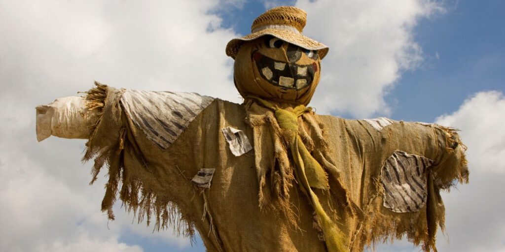 11 Modern Scarecrows That Wow Your Garden - Complete Gardening