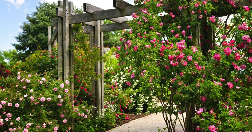 25 Must-Have Flowers for a Beautiful, Colorful Garden - Complete Gardening