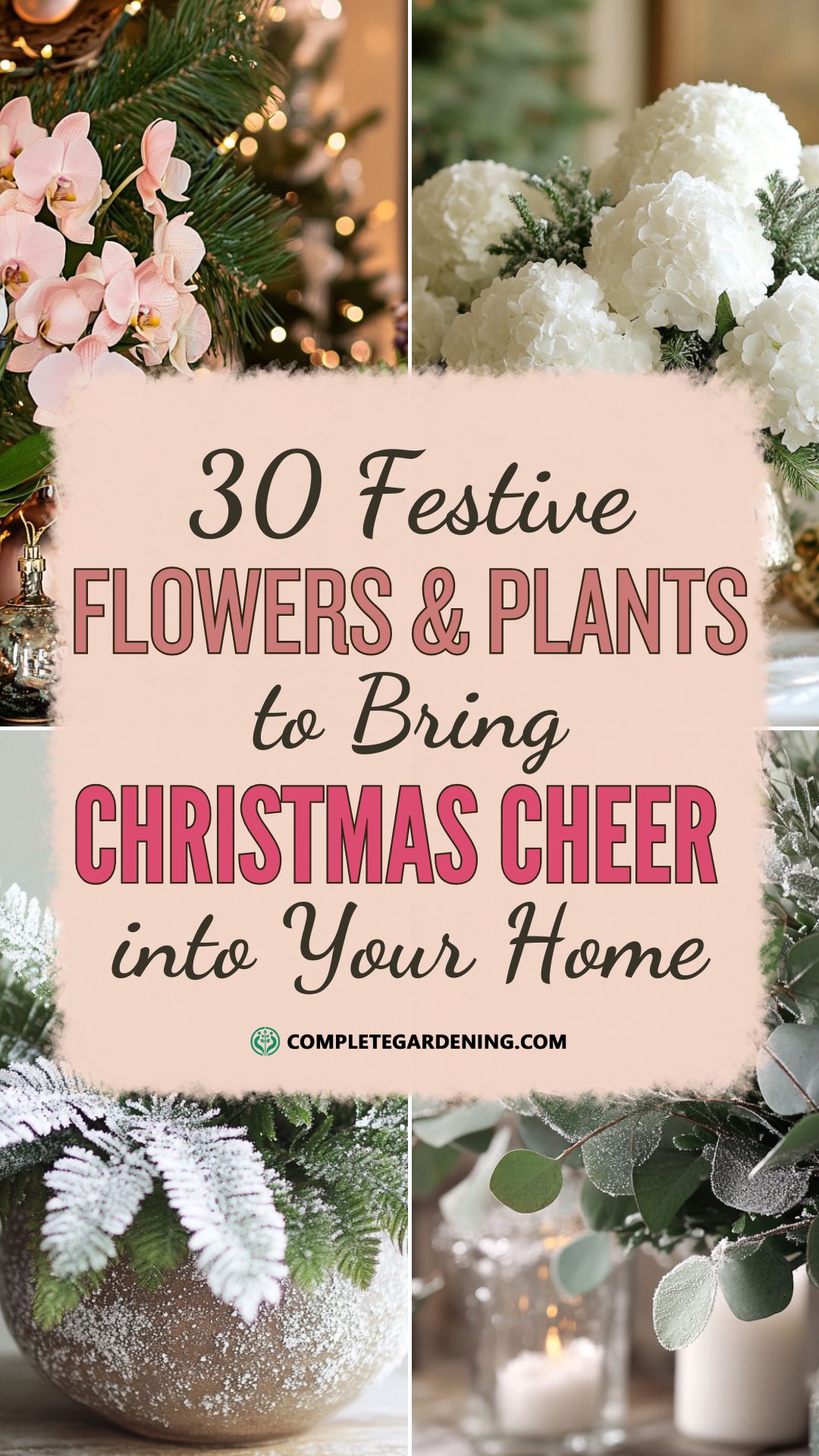 30 Festive Flowers and Plants to Bring Christmas Cheer into Your Home ...