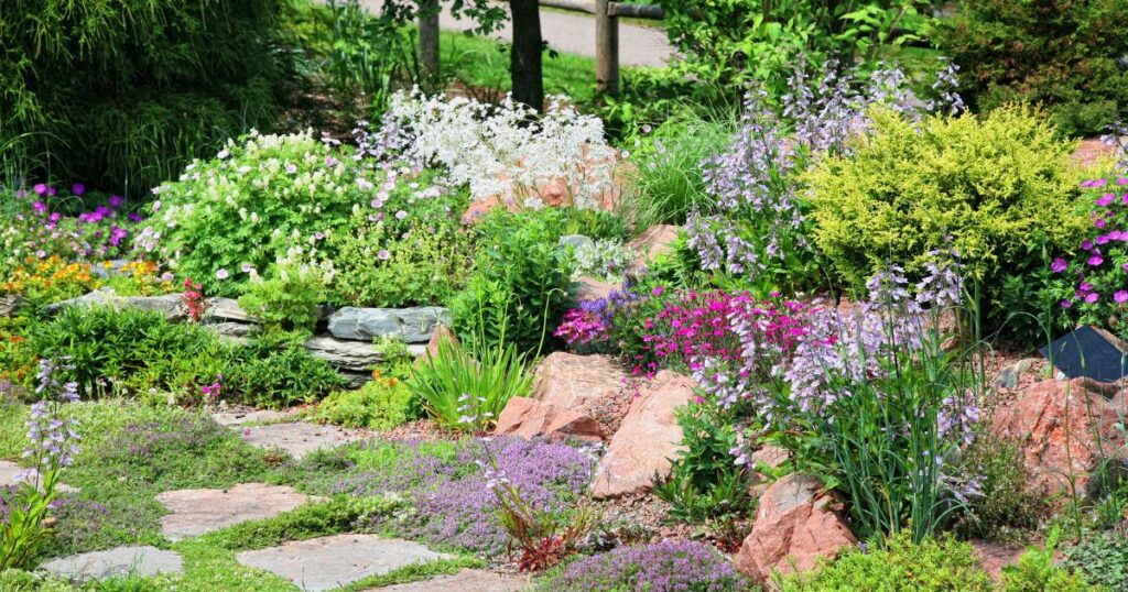 7 Tips for Growing Alpines Successfully - Complete Gardening