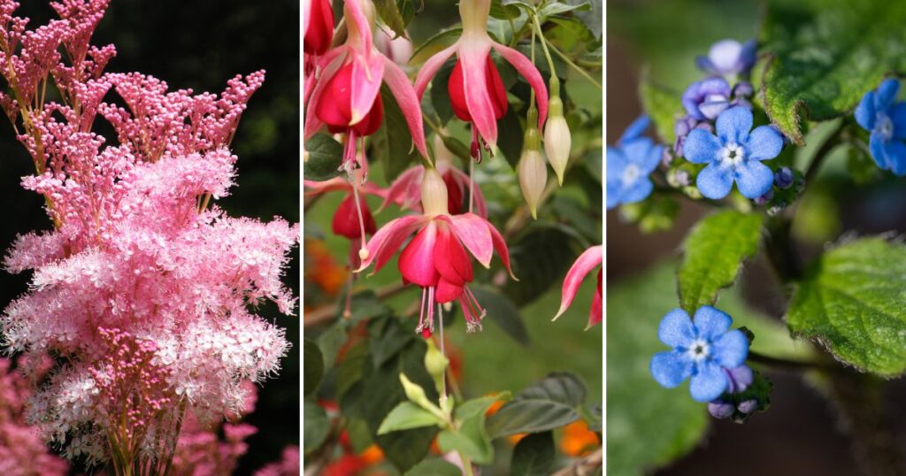 How to Brighten Shady Spots with These 20 Flowers - Complete Gardening