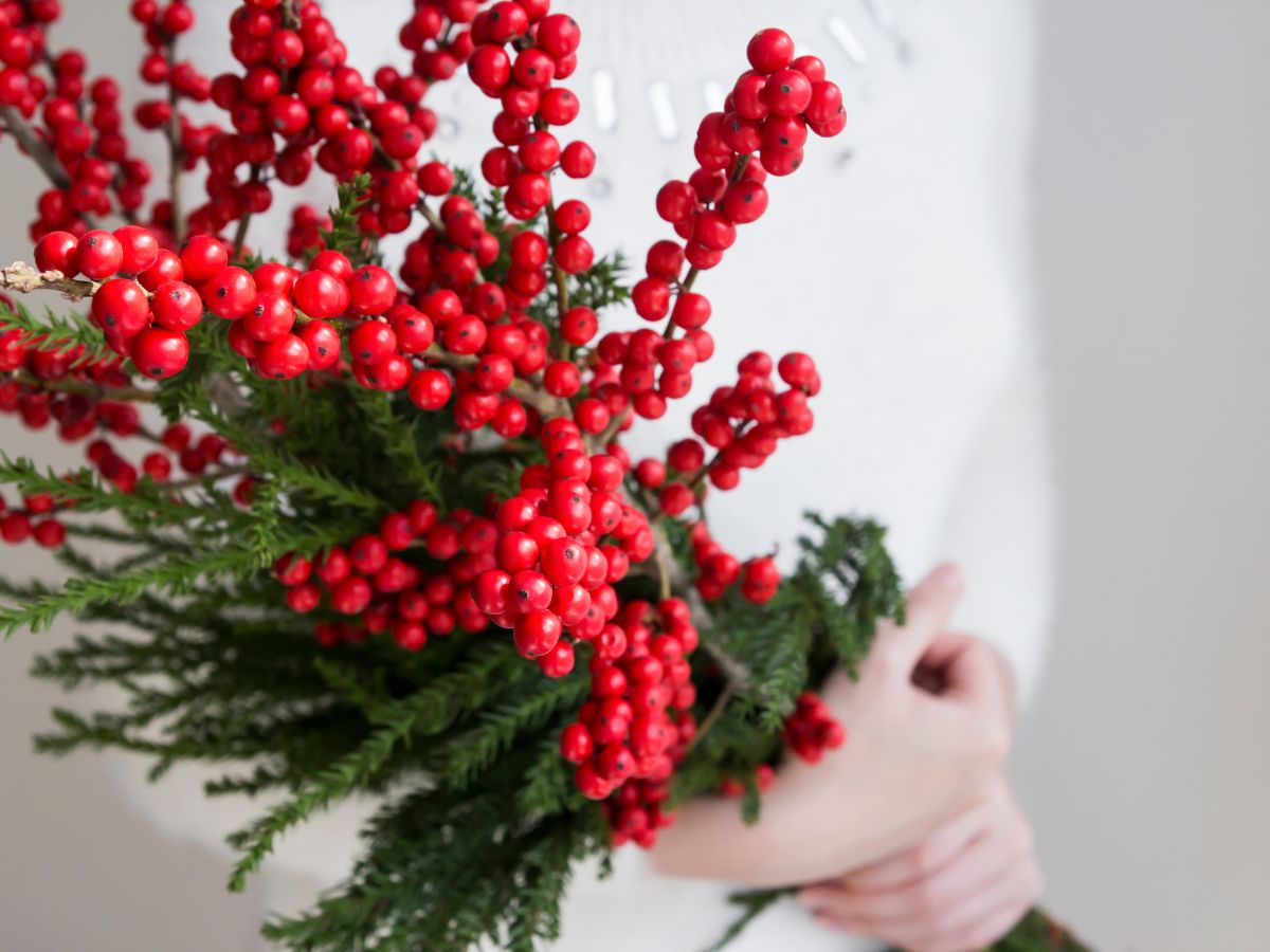 30 Festive Flowers and Plants to Bring Christmas Cheer into Your Home ...