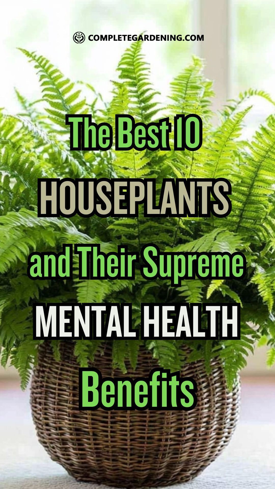 The Best 10 Houseplants and Their Supreme Mental Health Benefits ...