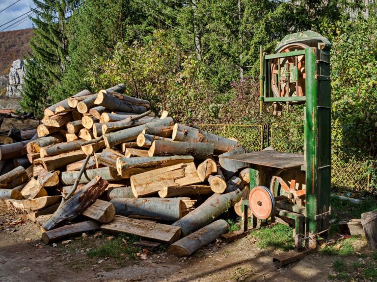 15 Things That Are Attracting Snakes To Your Yard - Complete Gardening