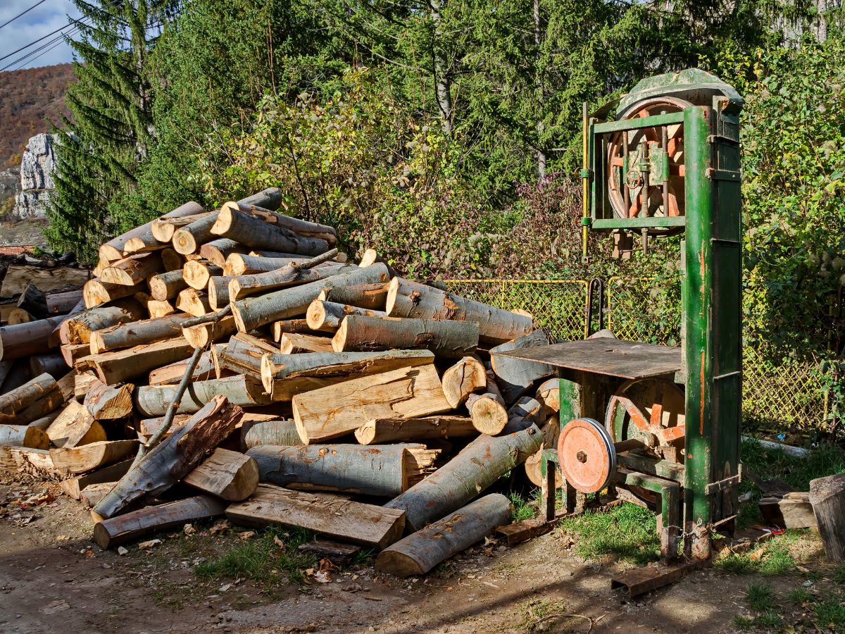 15 Things That Are Attracting Snakes To Your Yard - Complete Gardening