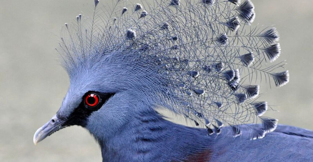 19 of Nature’s Most Vibrantly Colorful Creatures - Complete Gardening