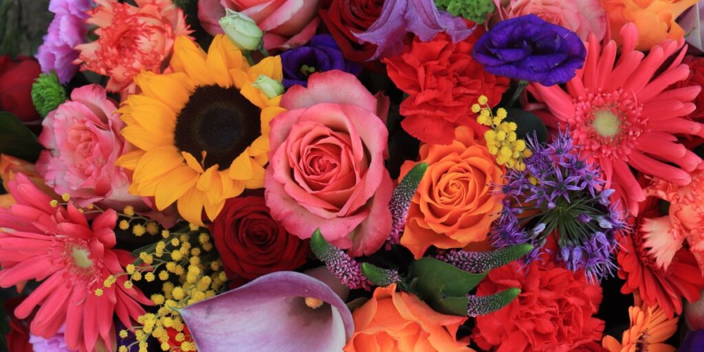 20 Symbolic Flowers That Represent Fresh Starts and New Beginnings ...