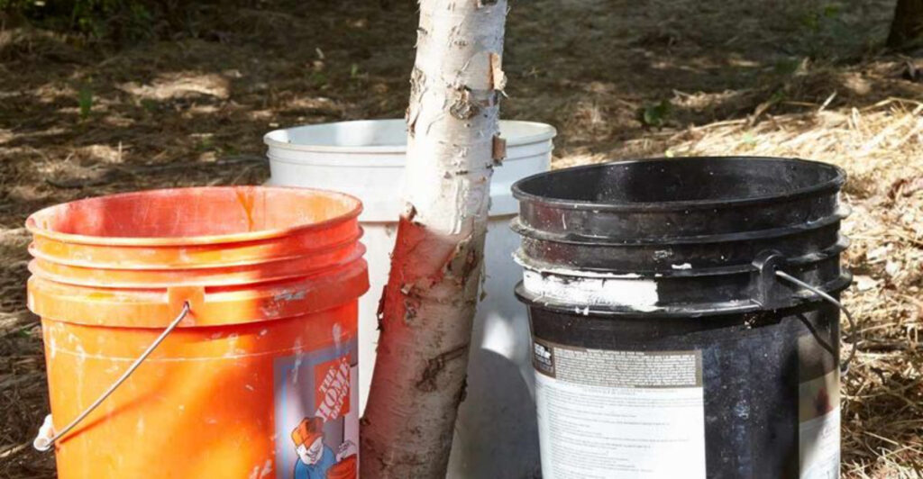 5-Gallon Bucket Hack: The Simple Trick to Water Trees Better - Complete ...