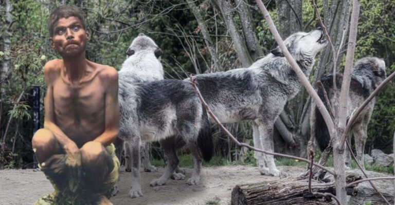 The True Story Behind The Jungle Book: 15 Fascinating Facts About the ...