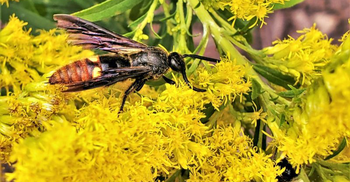 This 'Intelligent' Plant Can Solve Problems – Scientists Are Amazed by ...
