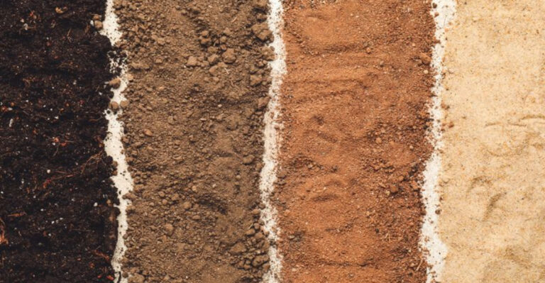 Transform Your Soil: Fixing Clay, Sand, or Compacted Earth - Complete ...