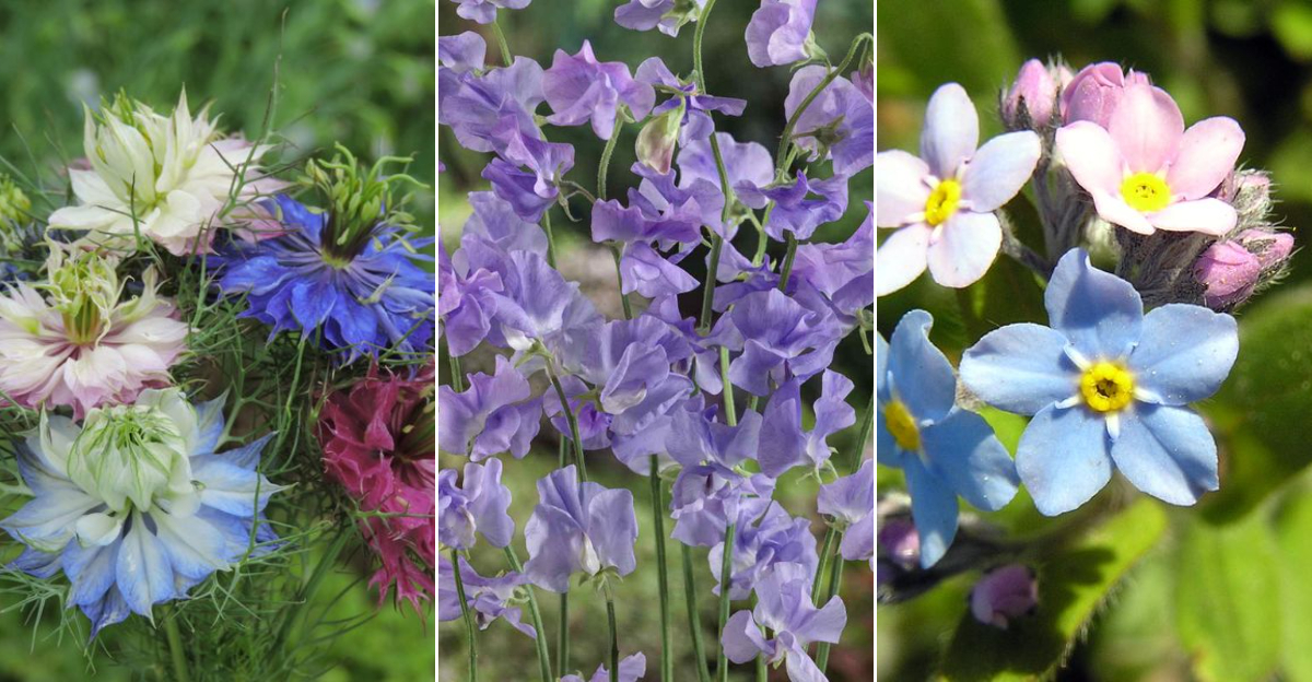 18 Timeless Garden Plants Your Great-Grandmother Loved—But Few Grow ...