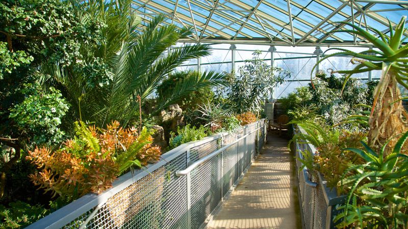 America’s 20 Most Stunning Botanical Gardens You Need to Visit ...