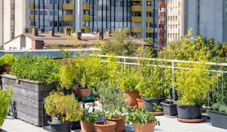 Urban Gardening 101: How to Start Growing Green in the City - Complete ...