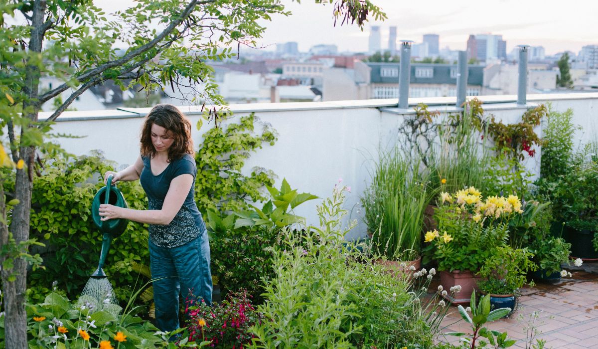 Urban Gardening 101: How to Start Growing Green in the City - Complete ...