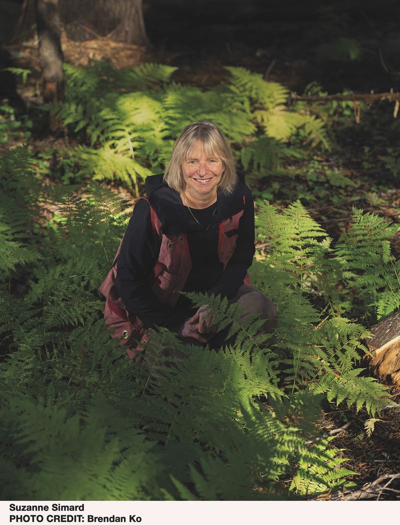 14 Women Botanists Who Revolutionized the Plant World - Complete Gardening