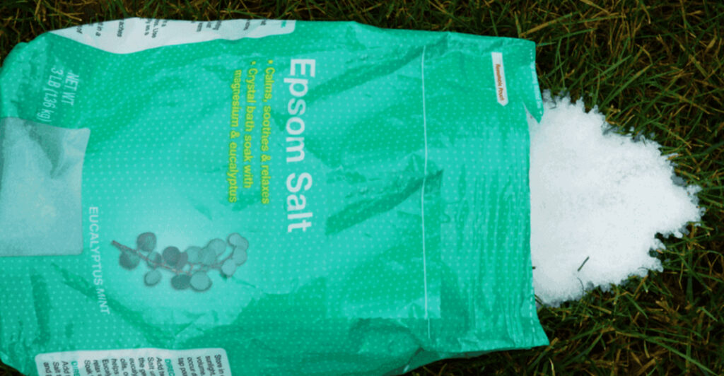Epsom Salt in the Garden: The Secret Weapon Every Gardener Needs ...
