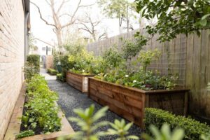 15 Reasons Your Vegetable Garden Is Not Producing Like It Should ...