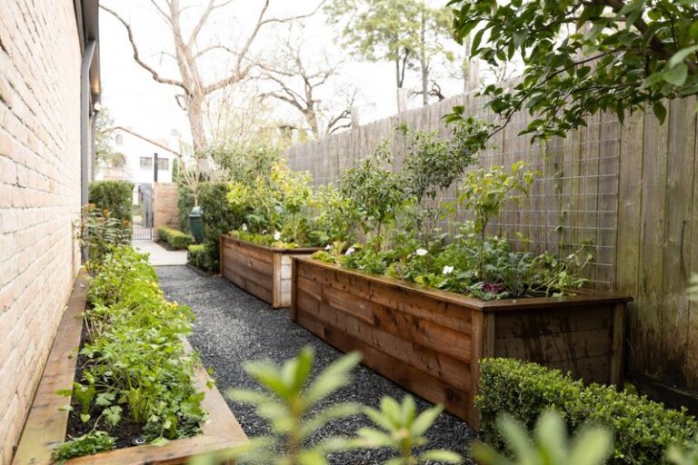 15 Reasons Your Vegetable Garden Is Not Producing Like It Should ...