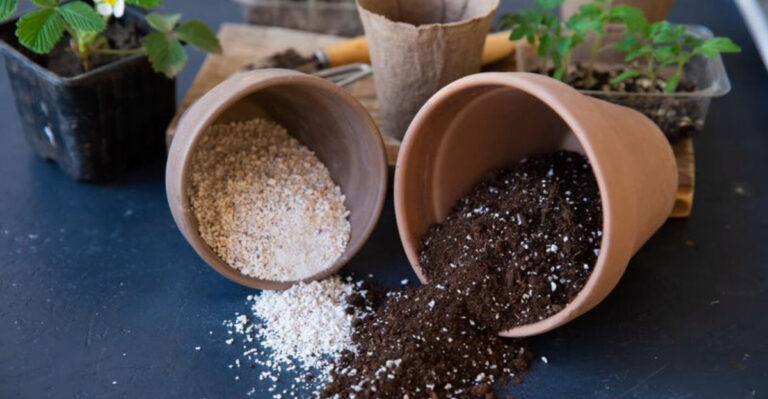 10 Expert Tips for Creating the Perfect Potting Mix - Complete Gardening