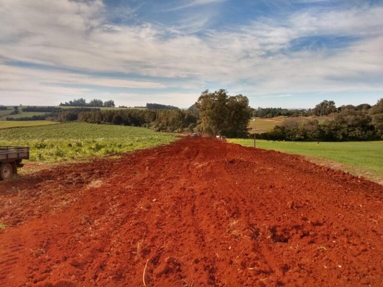 13 Eye-Opening Facts About Garden Soil Color – Plus Hidden Gardening ...