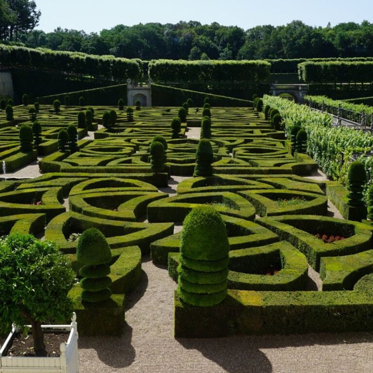 14 Mind-Bending Shrubs That Shaped the World's Most Iconic Labyrinths ...