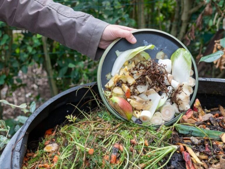 15 Composting Secrets Every Gardener Should Know - Complete Gardening
