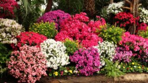 15 Secrets to Growing Gorgeous Azaleas Every Gardener Should Know ...