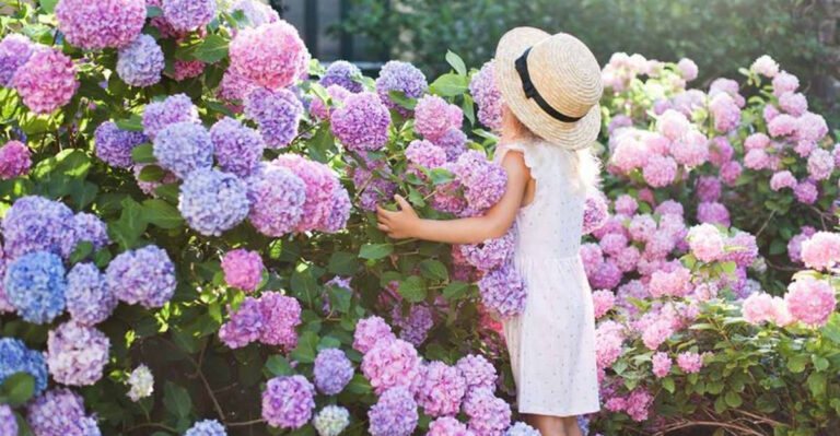 20 Gorgeous Backyard Plants That Look Pricey—But Are Shockingly Cheap ...