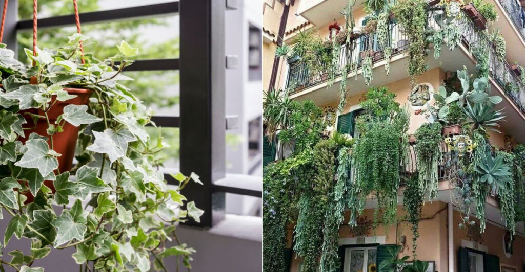 20 Gorgeous Plants That Instantly Transform Small Balconies into Lush ...
