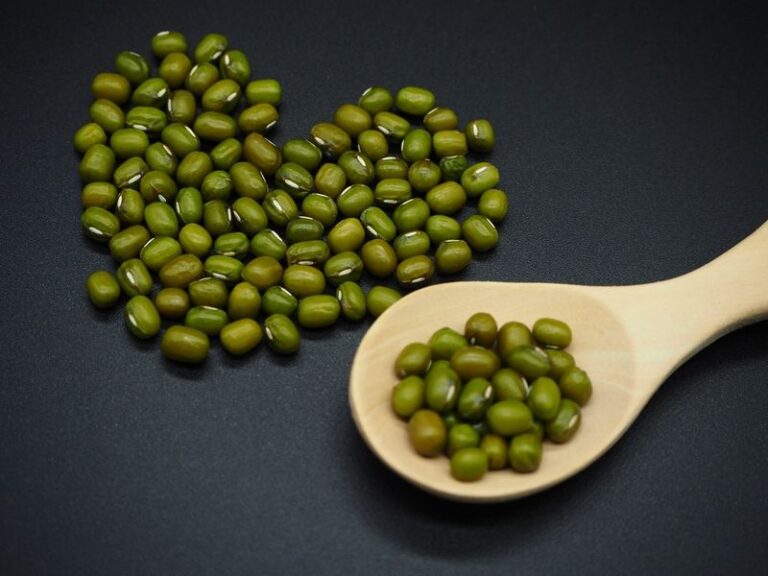 25 Amazing Bean Varieties Packed with Flavor and Health Benefits ...
