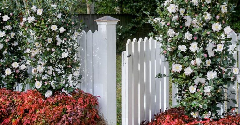 35 Gorgeous Plants That Will Instantly Transform Your Fence Line ...